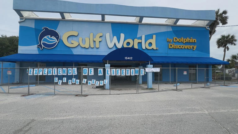 Fifth dolphin dies at Gulf World Marine Park, Florida Senator Jay ...