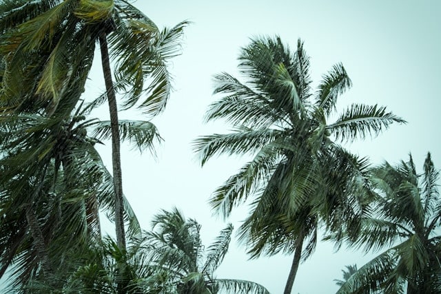 15 Deadliest Tropical Cyclones in World History