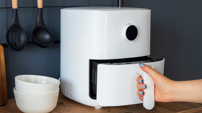 9 basic rules for using your air fryer to the fullest