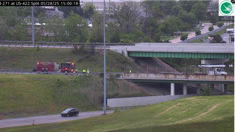 PHOTOS: Truck goes off highway