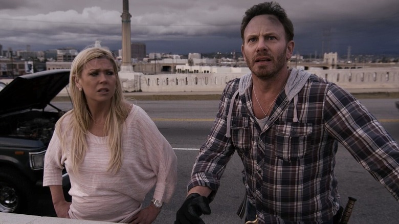 The 15 Best Shark Movies Ever, Ranked