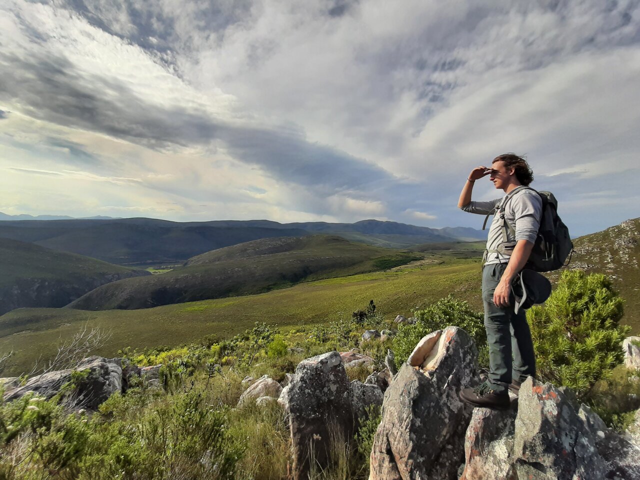 'Living fossil' velvet worm species discovered in South Africa's arid ...