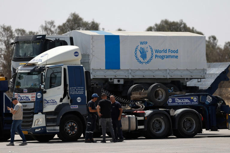 Food aid in Gaza looted hours after Palestinians overran distribution site