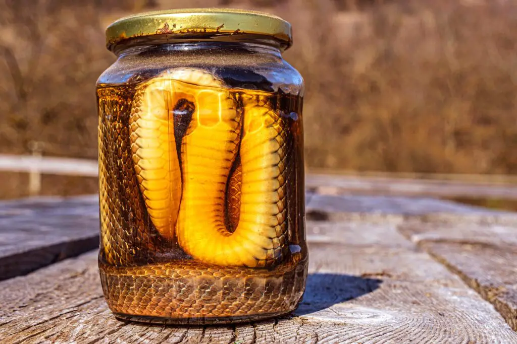 6 Bizarre Foods Once Thought to Cure Everything