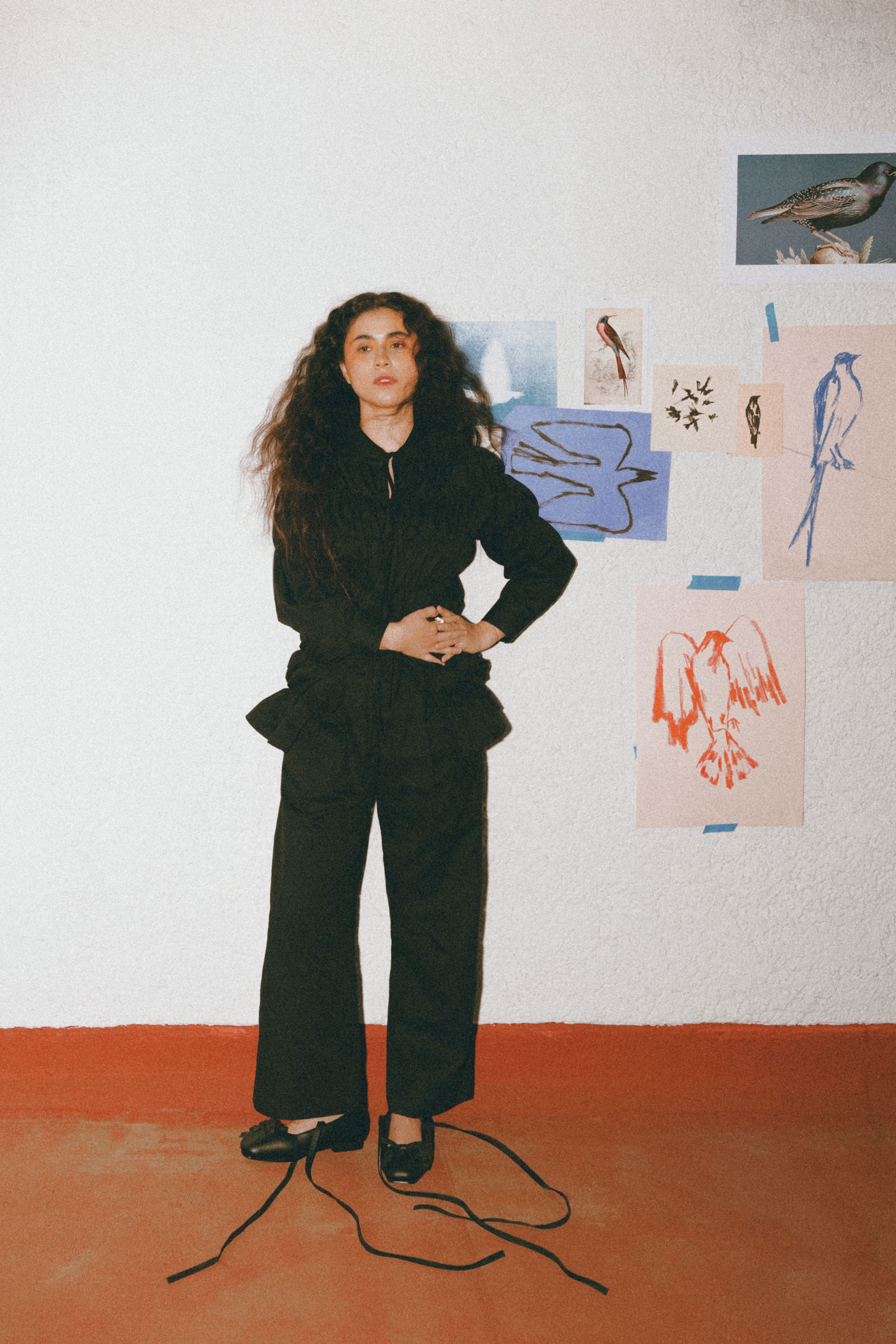 Silvana Estrada Shares New Song “Como un Pájaro”: Listen