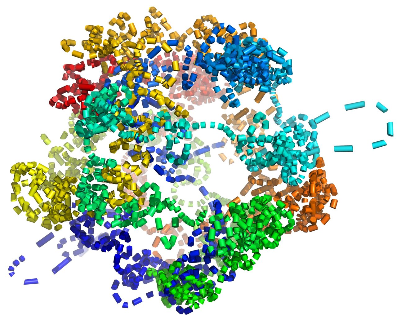 AI tool reveals single-cell structure of chromosomes—in 3D