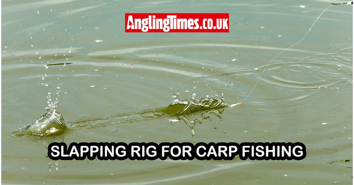 Slapping rig to fish for carp shallow