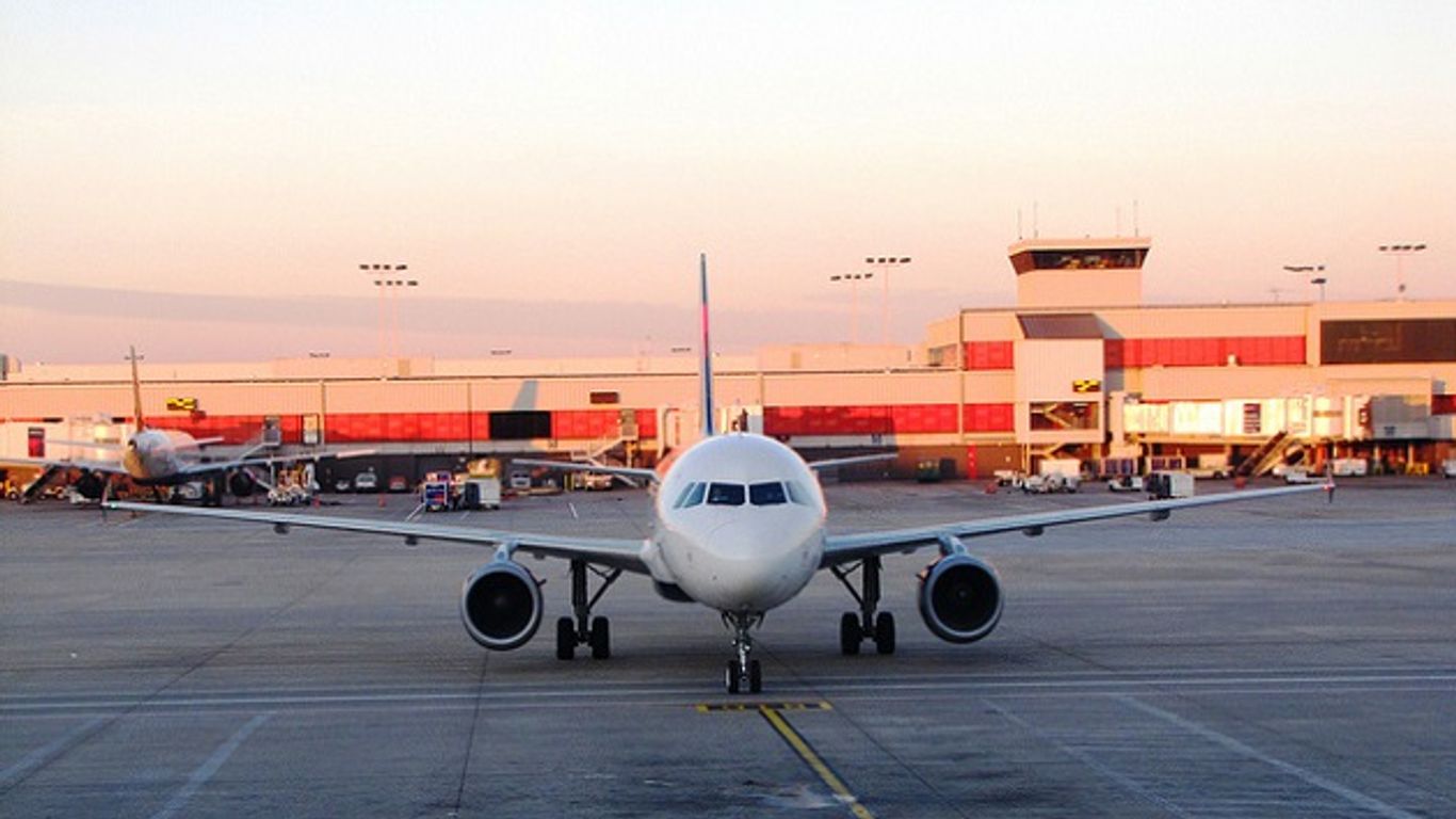 Stowaway Pigeons Force Delta Flight to Return to Gate Multiple Times