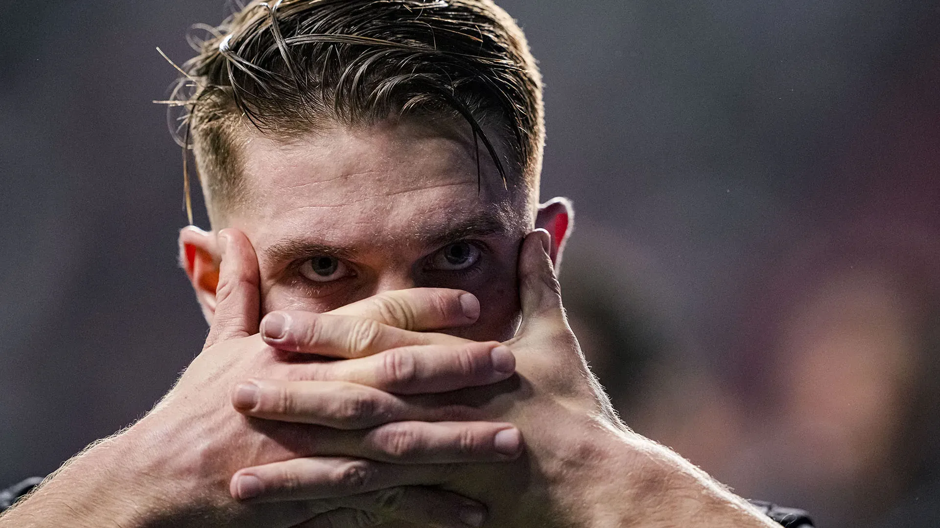 12 Signs Your Cat Trusts You