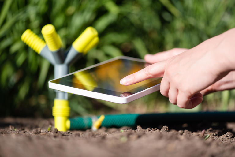 10 must do home projects for June