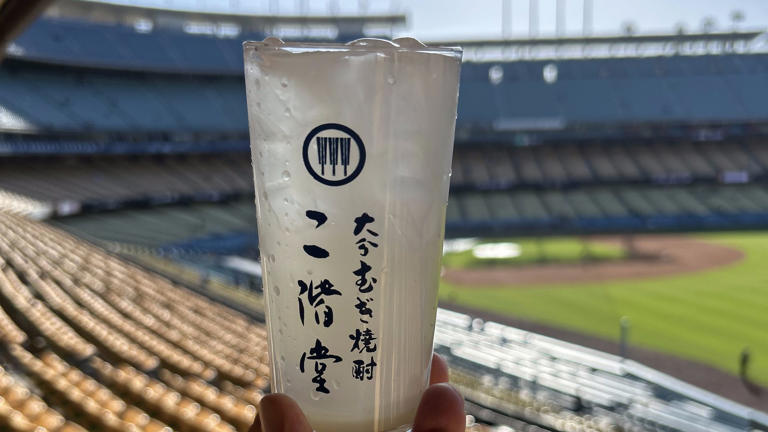 Thanks to Shohei Ohtani, These Are the Japanese Food and Drinks to Try ...