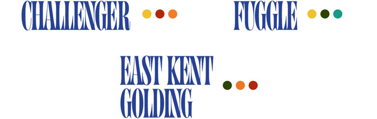 A Comprehensive Guide to IPA Styles