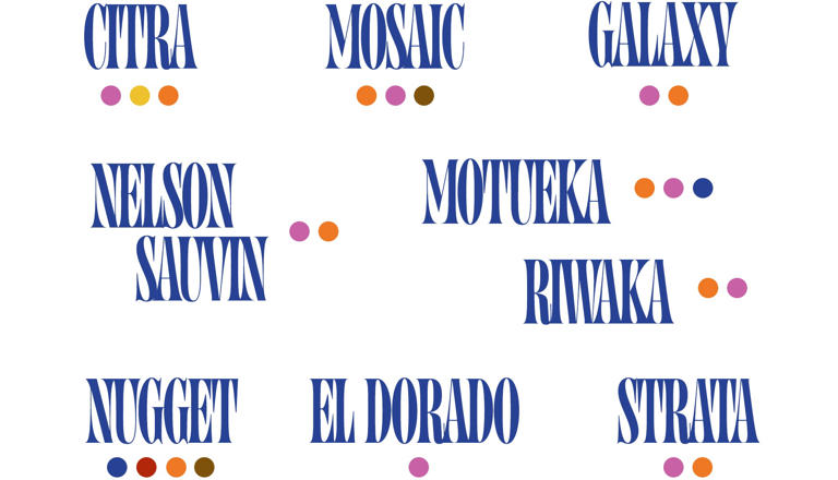 A Comprehensive Guide to IPA Styles