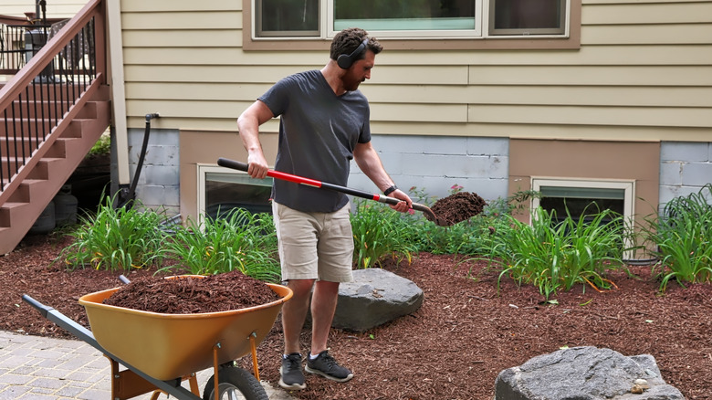 5 Essential Landscaping Tools To Keep Nearby When Working In Your Backyard