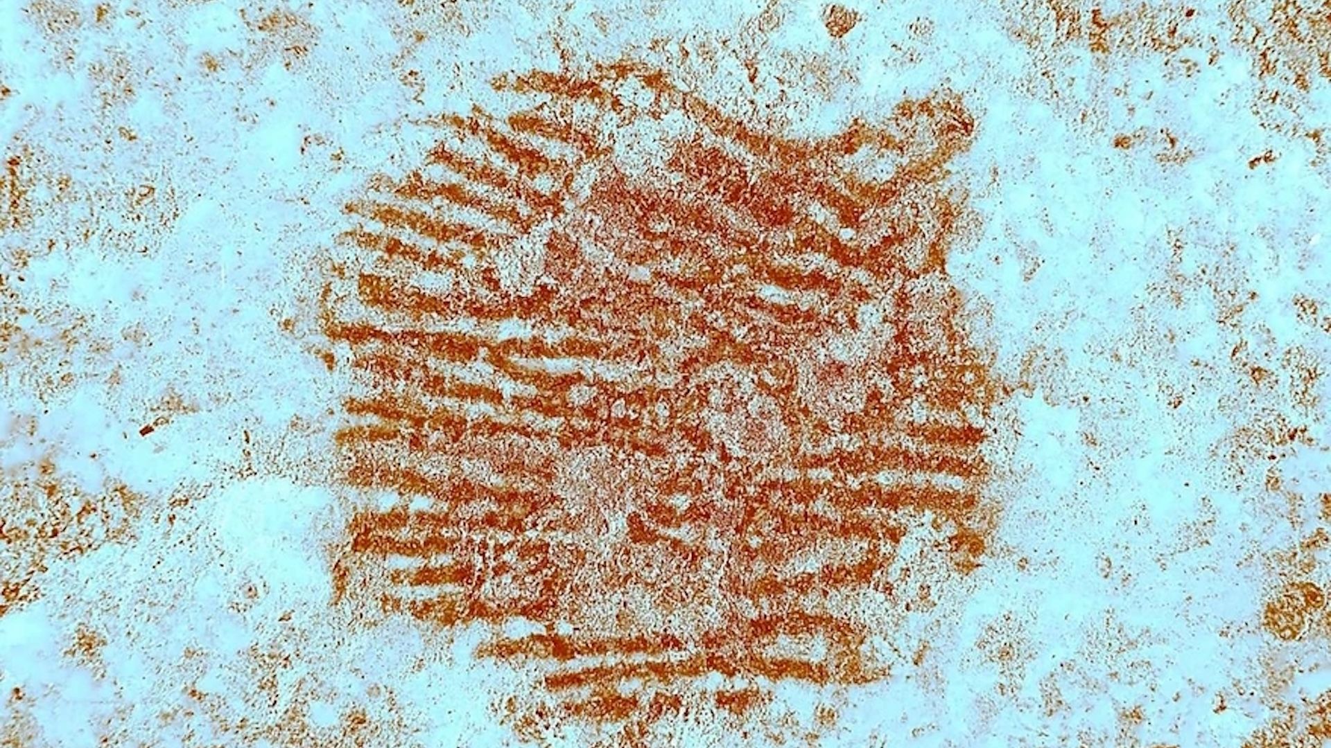 43,000-year-old human fingerprint is world's oldest — and made by a ...