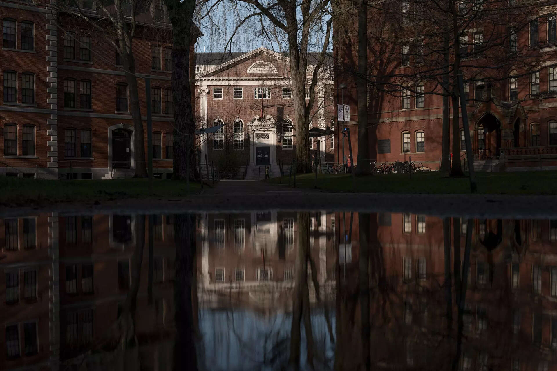 Harvard fight illustrates Trump's worldview: If he attacks, it's your fault