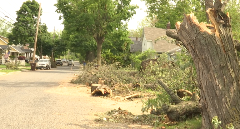 Lansing bands together to clean up storm damage