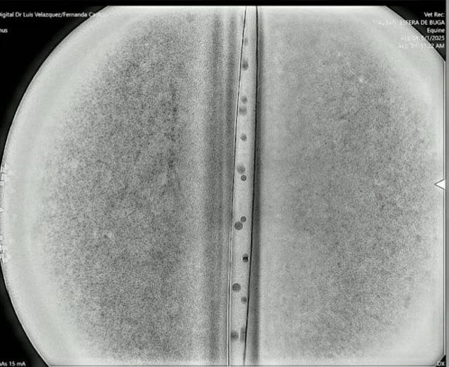 Scientists reveal truth behind 'UFO' spotted in major city with ...