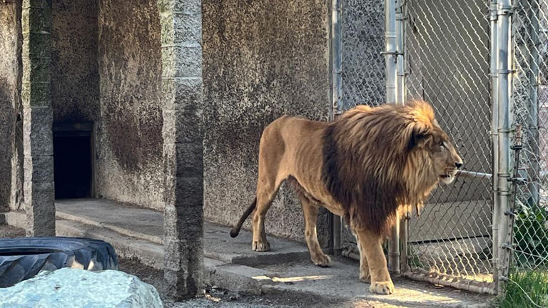 Expansion project along West Main Street in Kalamazoo leads to gridlock ...