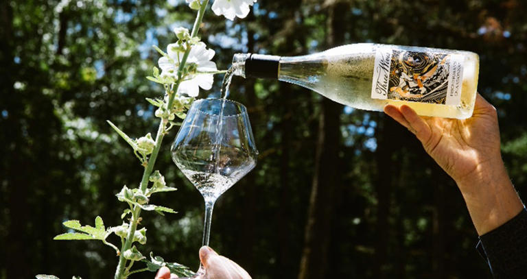 Oregon winery with ‘exceptional Italian varietals’ wins best woman ...