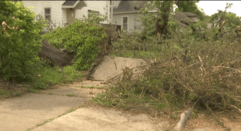 Lansing bands together to clean up storm damage