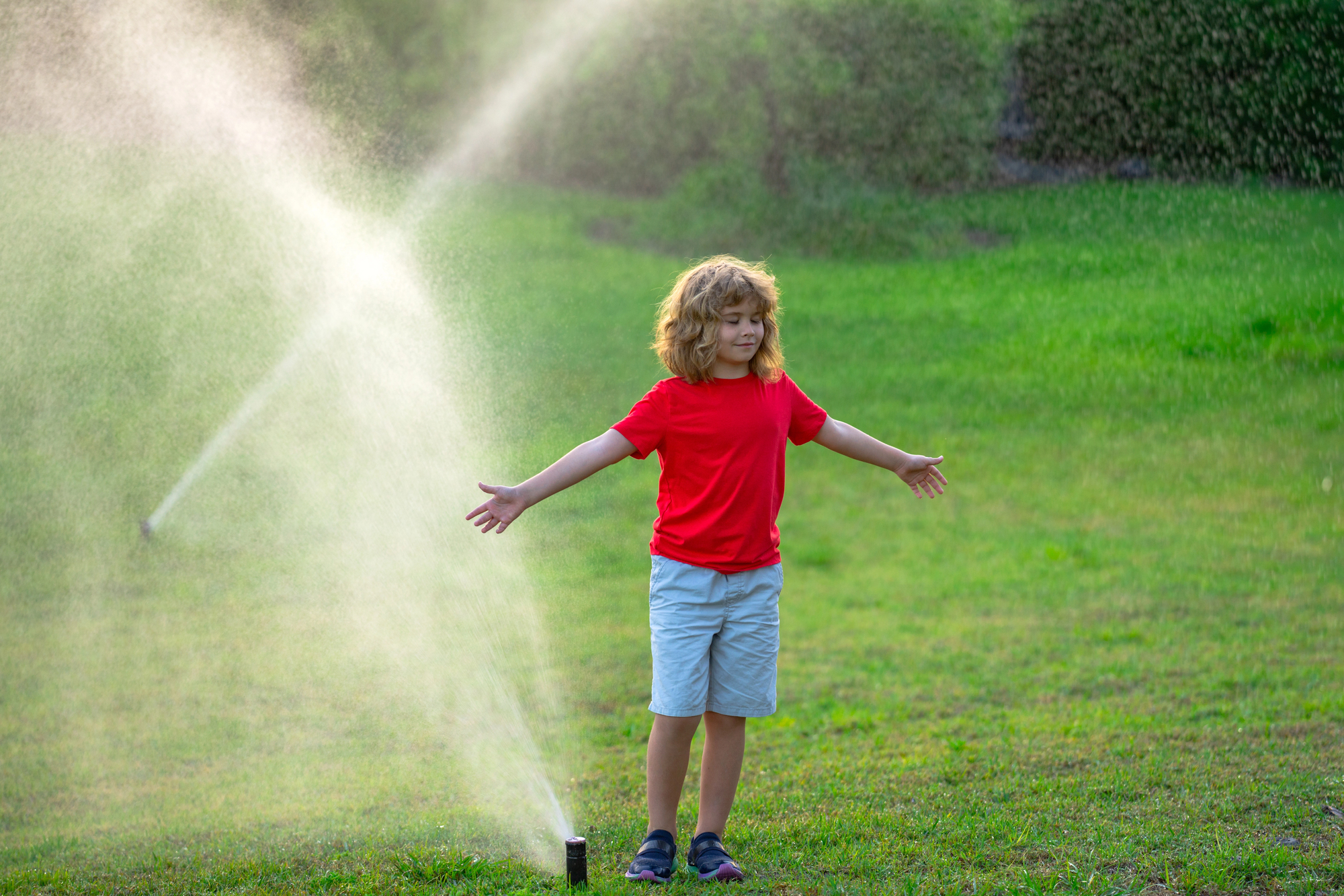 8 Watering Tips That Save Time, Money, and Your Lawn