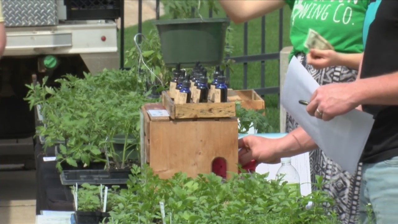 INTERVIEW: What's new with QC Farmers Market?