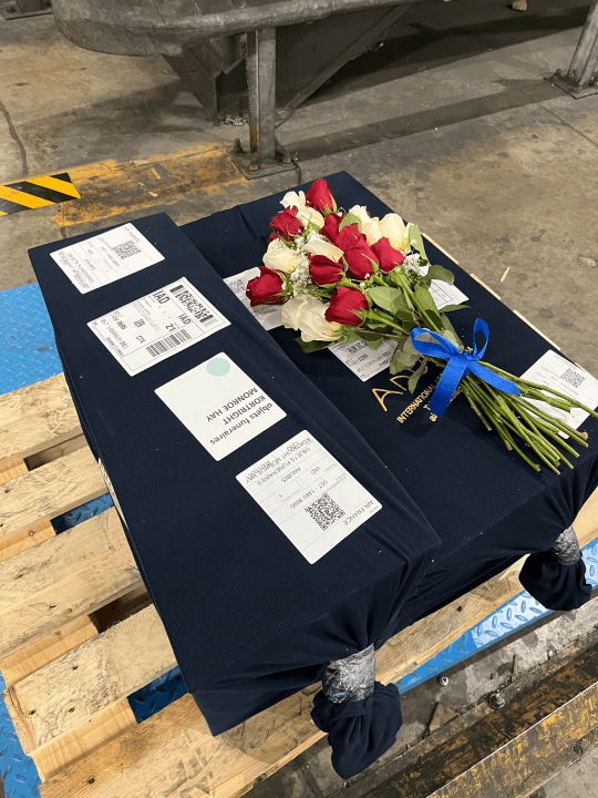 Daughter of former president James Monroe returns to Richmond after ...