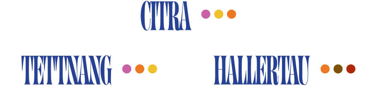 A Comprehensive Guide to IPA Styles