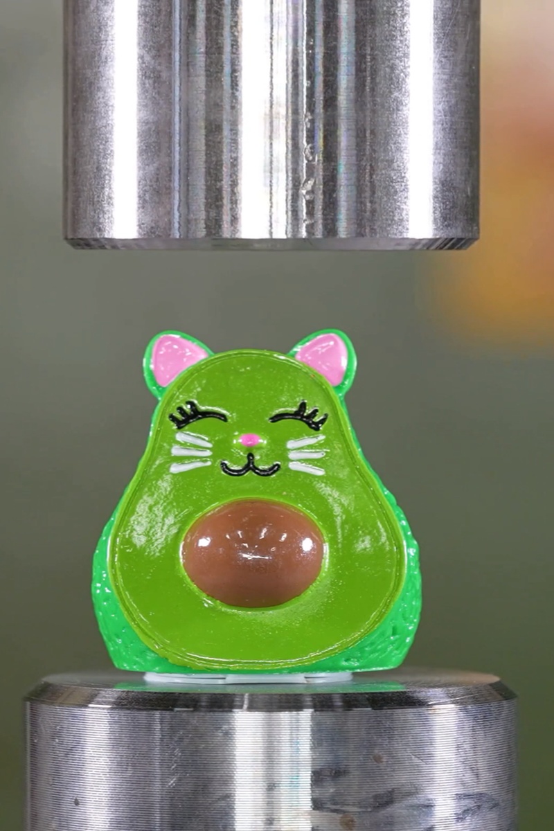 Kot z awokado zostaje zmiażdżony, ale wciąż się uśmiecha!