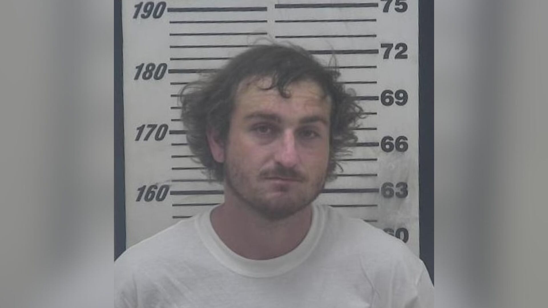 Traffic stop leads to arrest of wanted felon, discovery of illegal ...