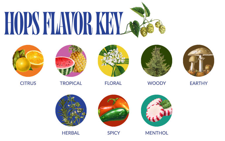 A Comprehensive Guide to IPA Styles