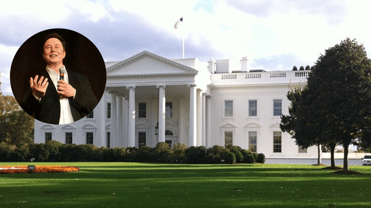 Musk criticizes Trump's spending bill as White House readies $9.4B DOGE ...