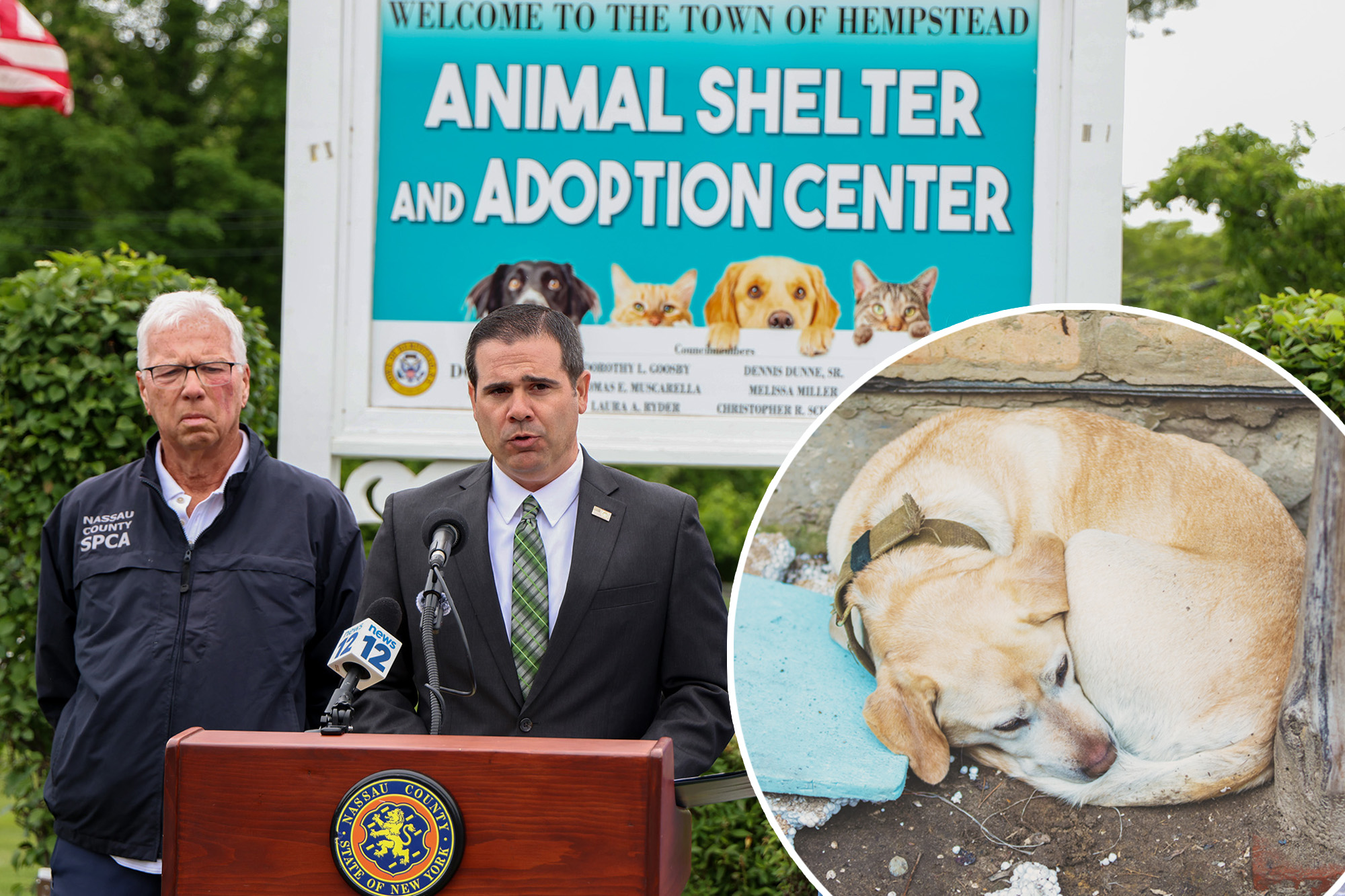 Nassau County wants to crack down on animal abusers with harsher ...