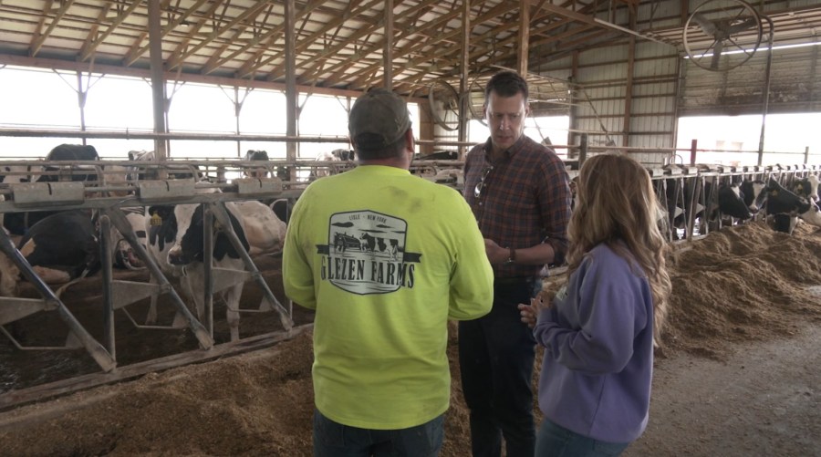 Riley protecting Lisle dairy farmer betrayed by government