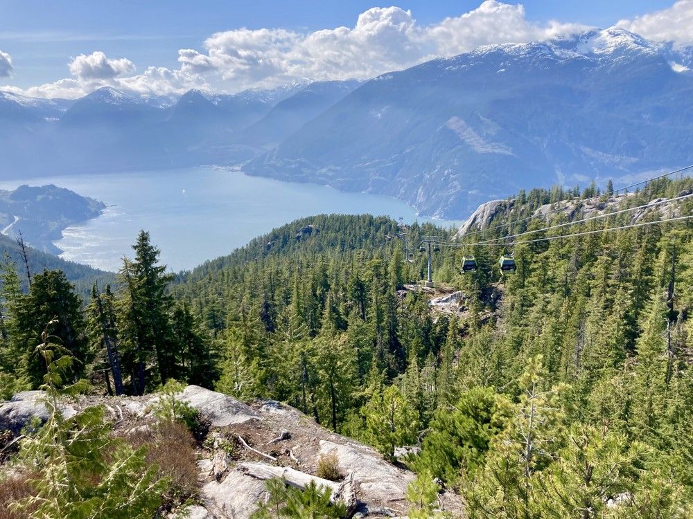 B.C. anti-LNG group seeks judicial review of 'floatel' approval near ...