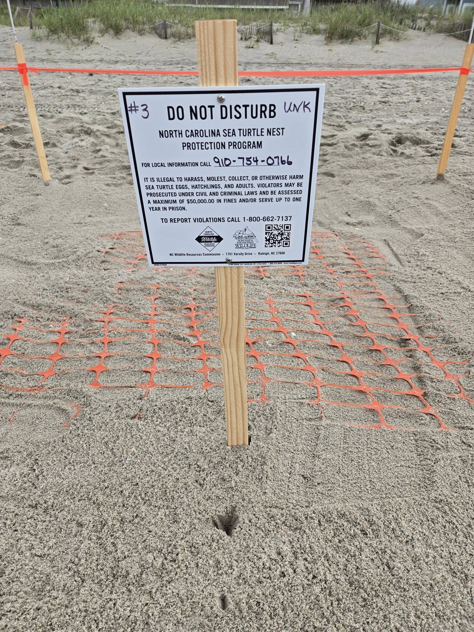 Loggerhead sea turtle nests marked on Holden Beach by Turtle Patrol