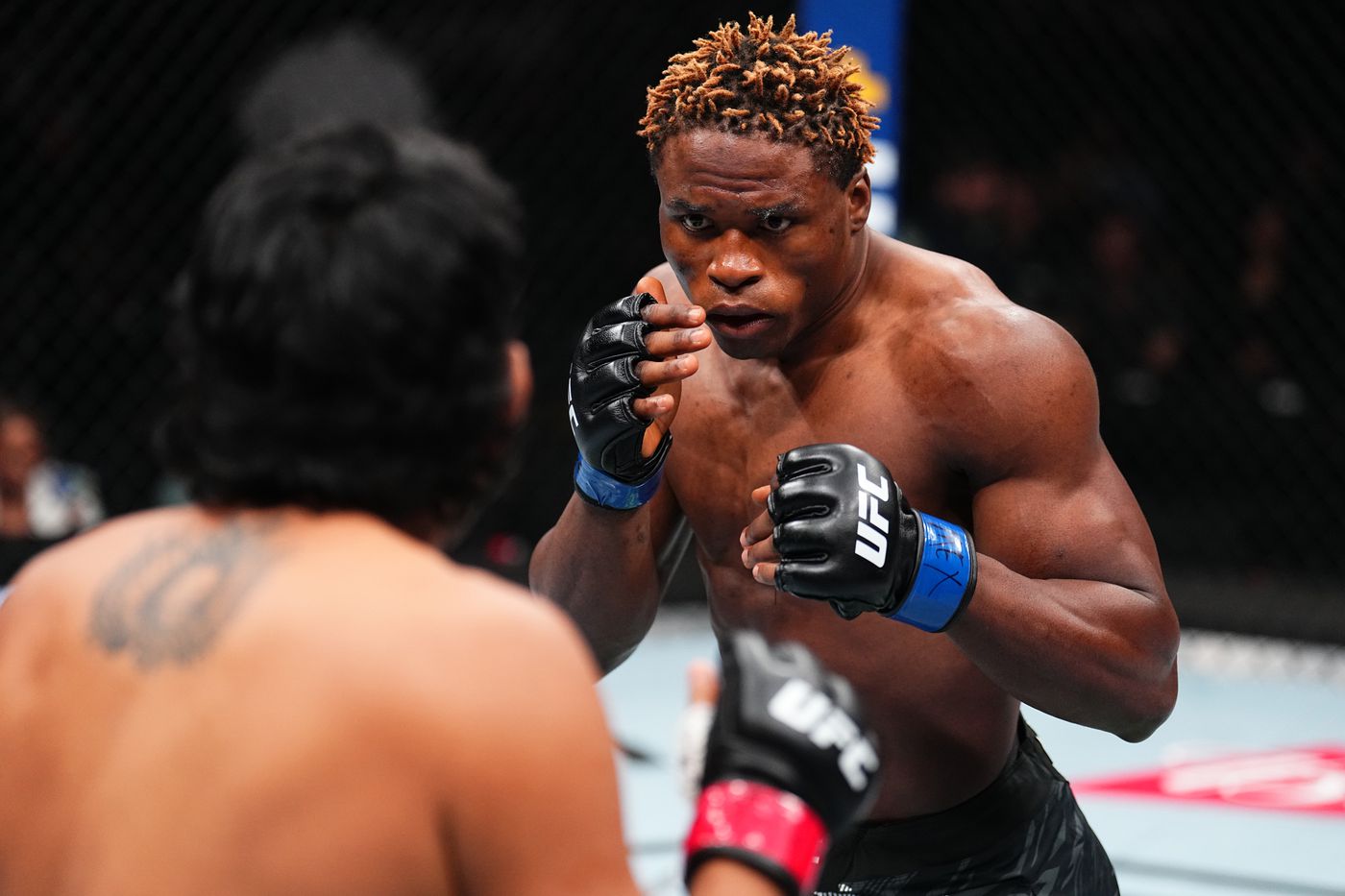 UFC Nashville Adds ‘Mini Ngannou’, Curtis, Njokuani