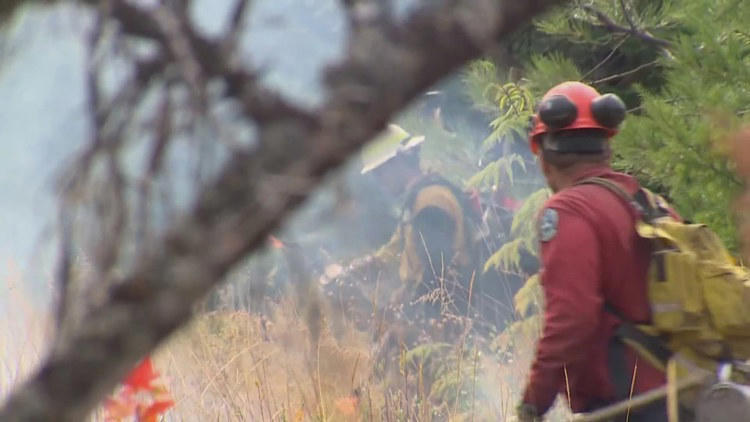 Washington DNR prepares to receive less federal wildfire aid as U.S ...