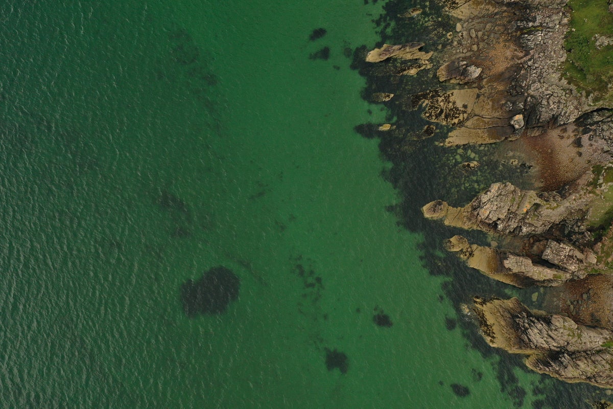 Marine conservation group claims damage to seabeds is a ‘national scandal’