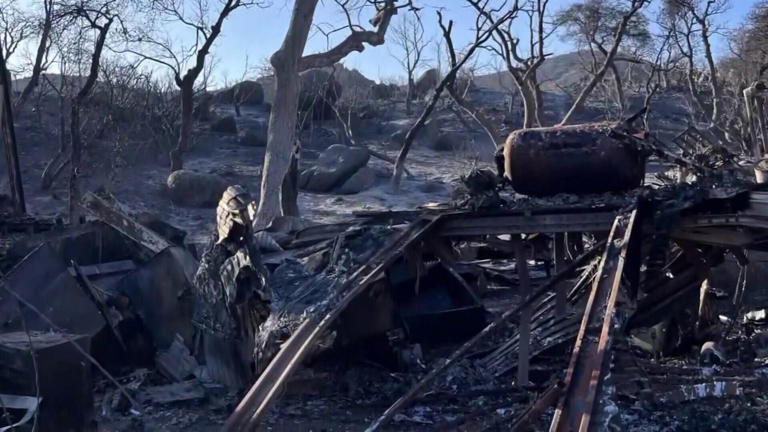 Residents, groups assessing damage from Cody Fire