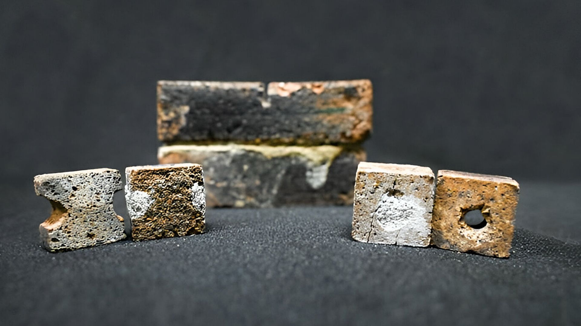 Bacteria and Beans Could Be the Secret Sauce for Moon Bricks