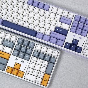 '퍼플과 그레이' 두 가지 매력, COX C108 유무선 기계식 키보드