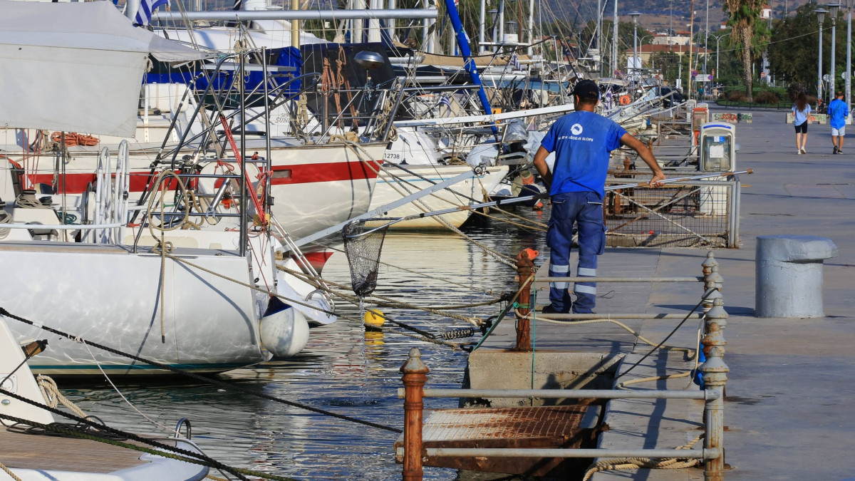 Βαρέα μέταλλα και μικροβιακό φορτίο στο λιμάνι του Βόλου: Έκθεση ...
