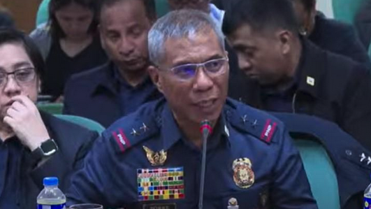 PNP to work with LGUs for '5-minute emergency response' policy
