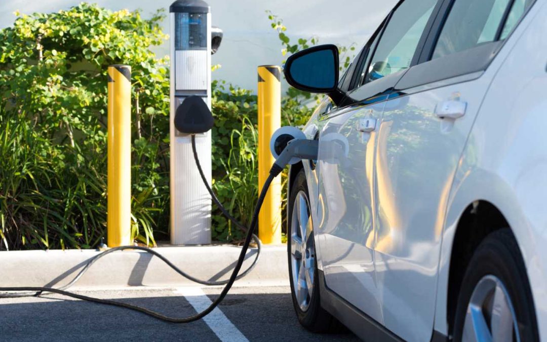 EV stocks: Which company delivered the highest growth in FY26?