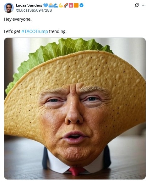 Who called Trump Taco and why she's a hero now