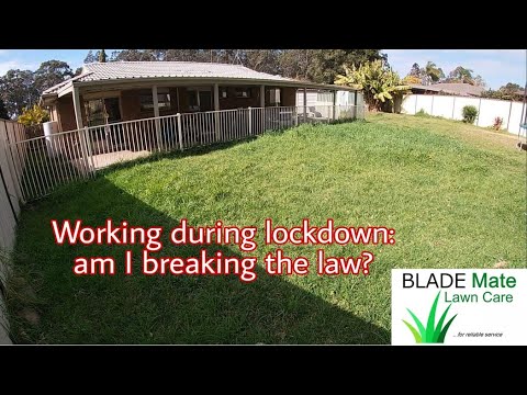 Taming Tall Grass – Client Yard Transformation in Australia