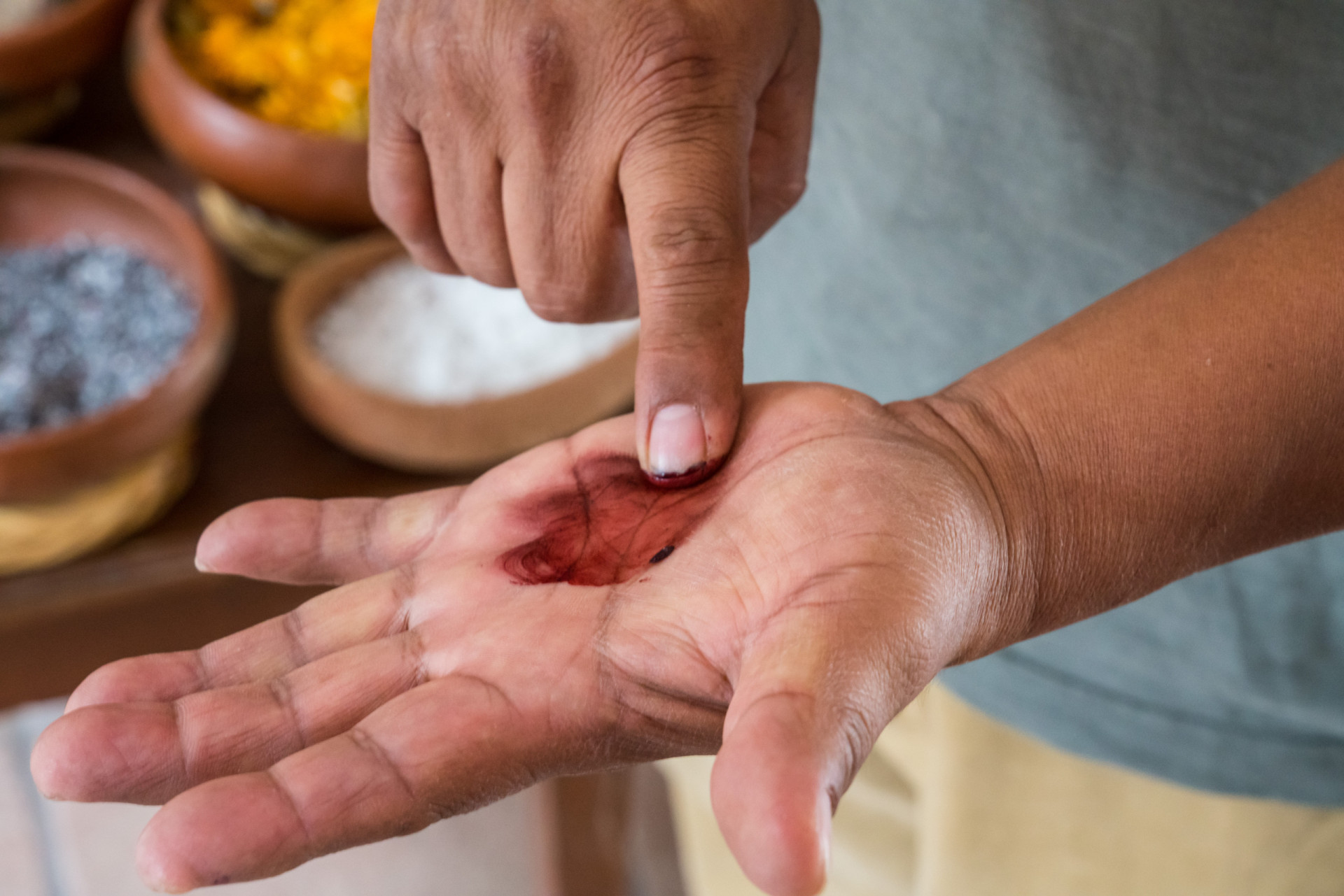 How a bug painted Europe red