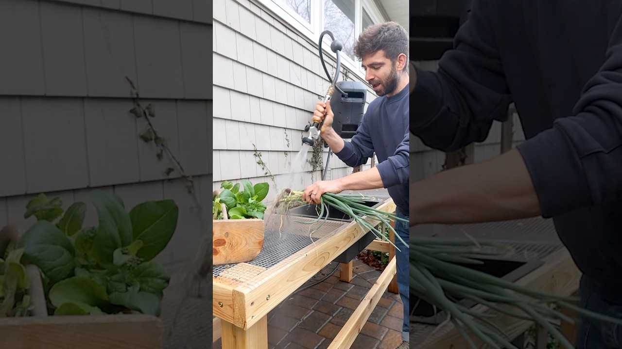 Outdoor Vegetable Washing Station